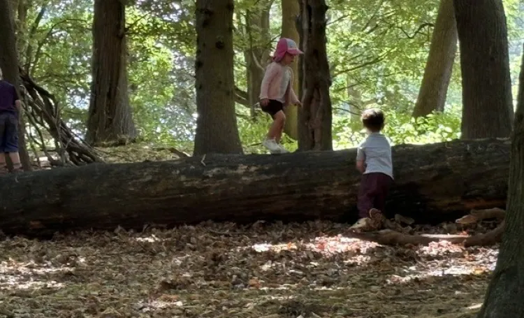 Resources | Stronger Practice Hubs